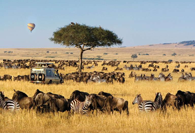 Micato Safaris - CSI International